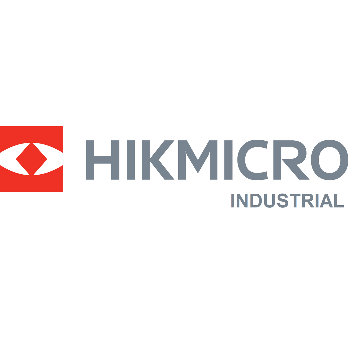 Hikmicro Industrial — Anaum Corporation